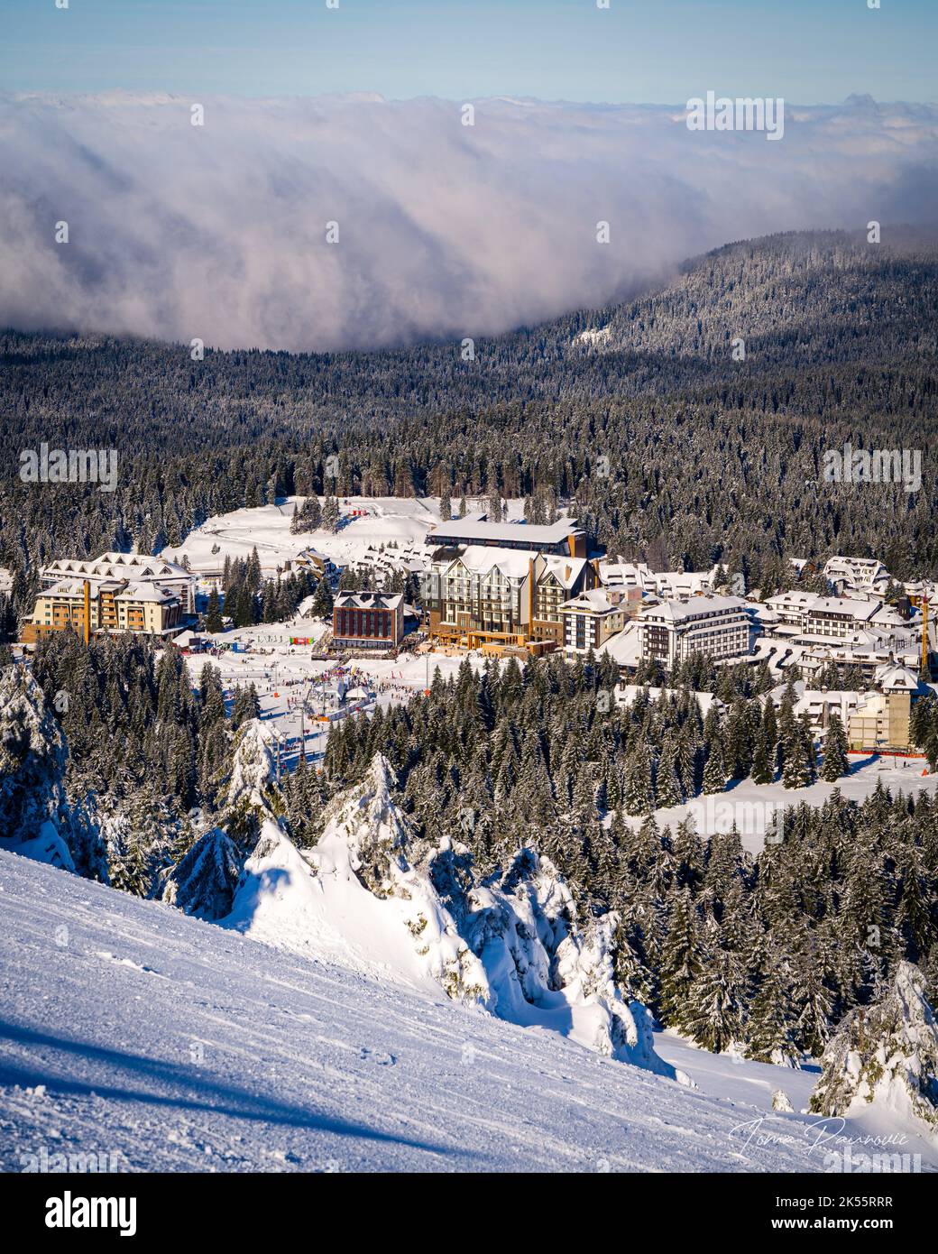 A vertical shot of a resort surrounded by forests with heavy fog in the ...