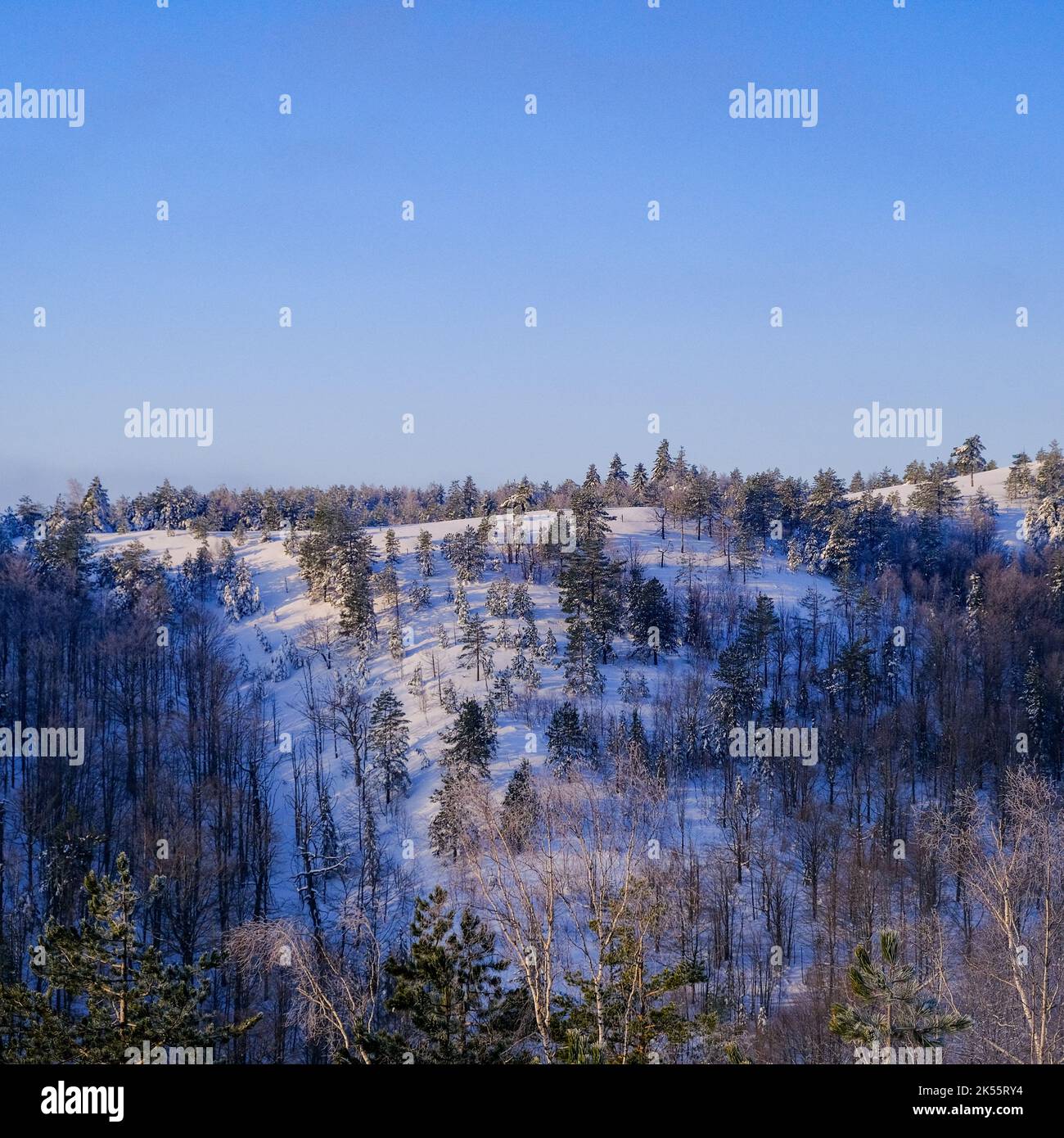 An aerial view of a beautiful forest during winter in Serbia Stock ...