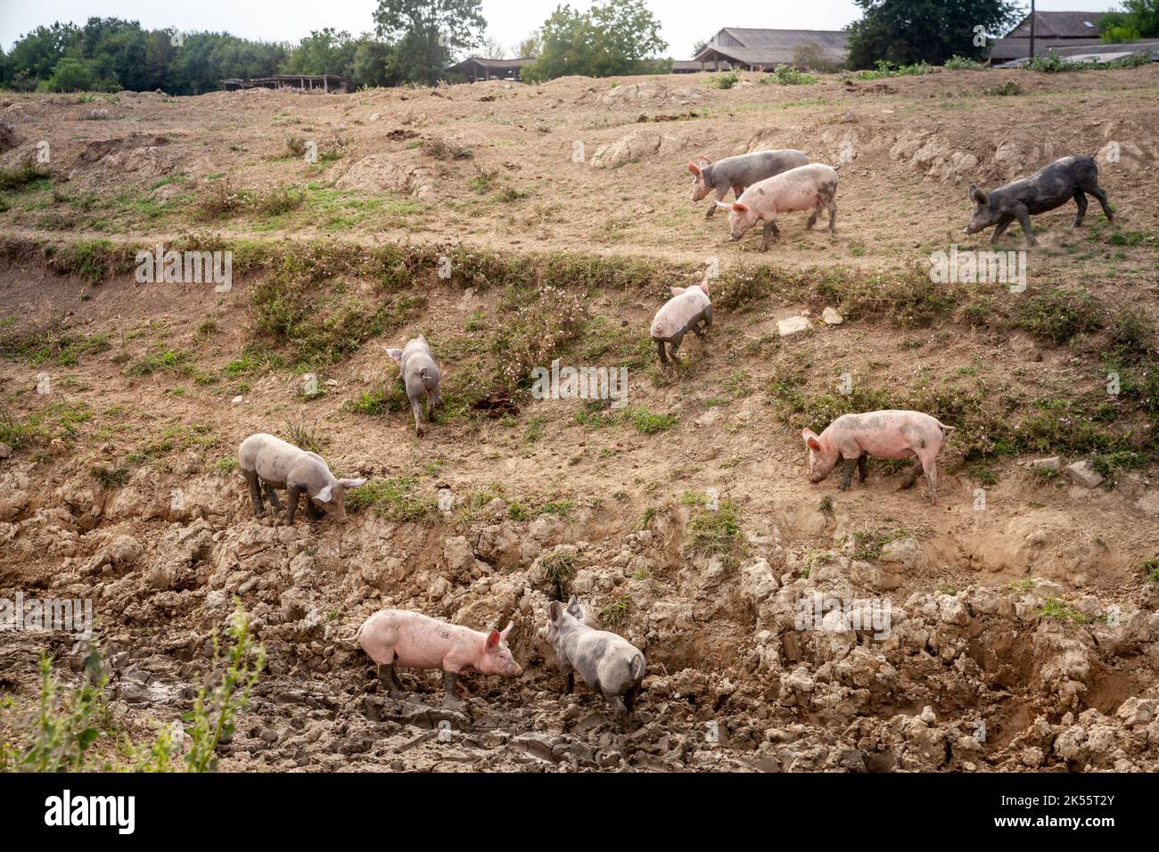 Playing in the mud hi-res stock photography and images - Alamy