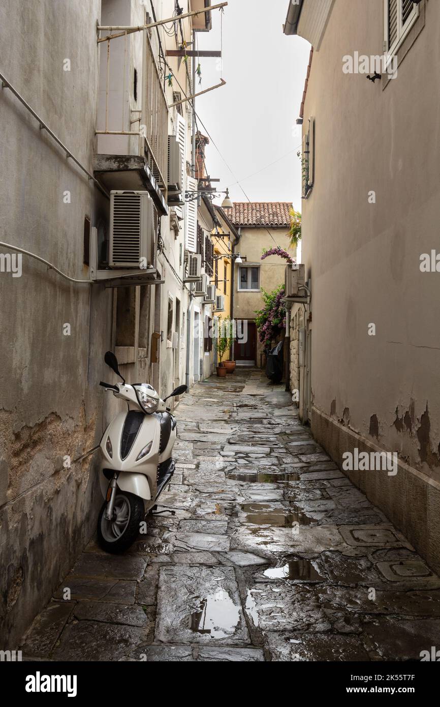 Picture of a narrow medieval street of the historical center of Koper ...