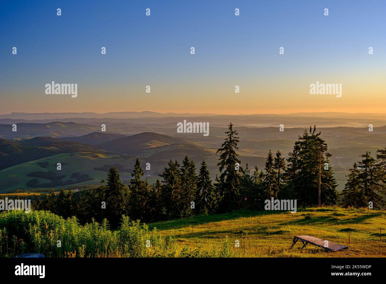 An aerial view of a beautiful forest near Zlatibor Mountain, Serbia ...