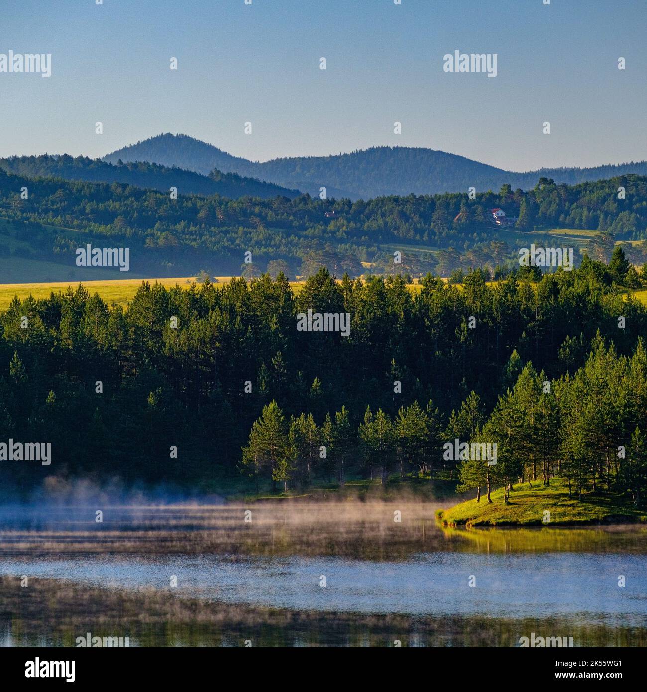 An aerial view of a beautiful forest near Zlatibor Mountain, Serbia ...