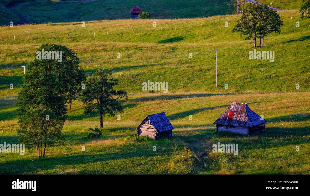 A high-angle view of wooden houses in the forest in Serbia Stock Photo ...