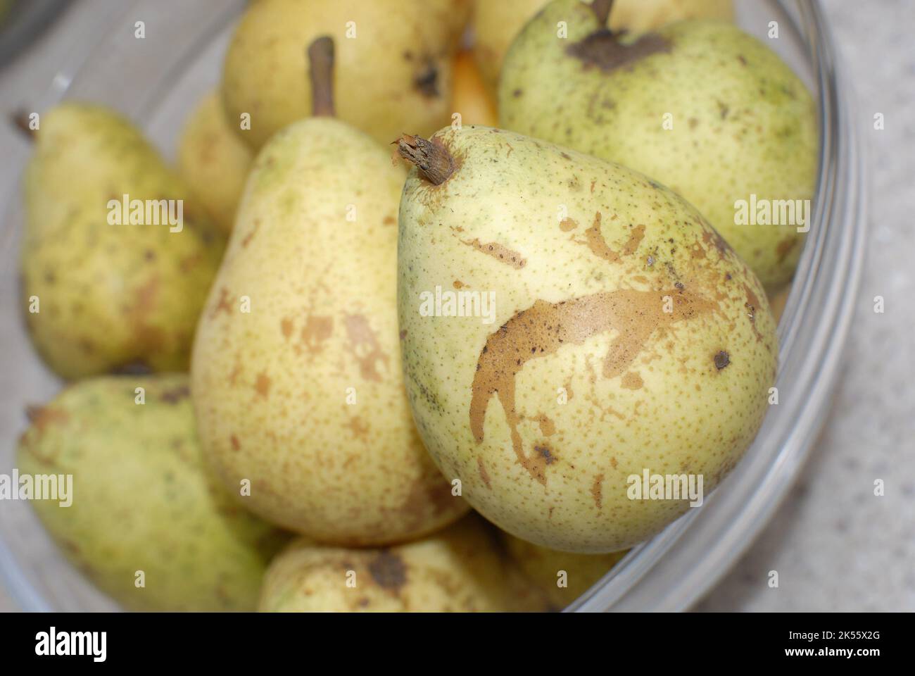 Naturally Grown Pears without the use of pesticides Stock Photo - Alamy