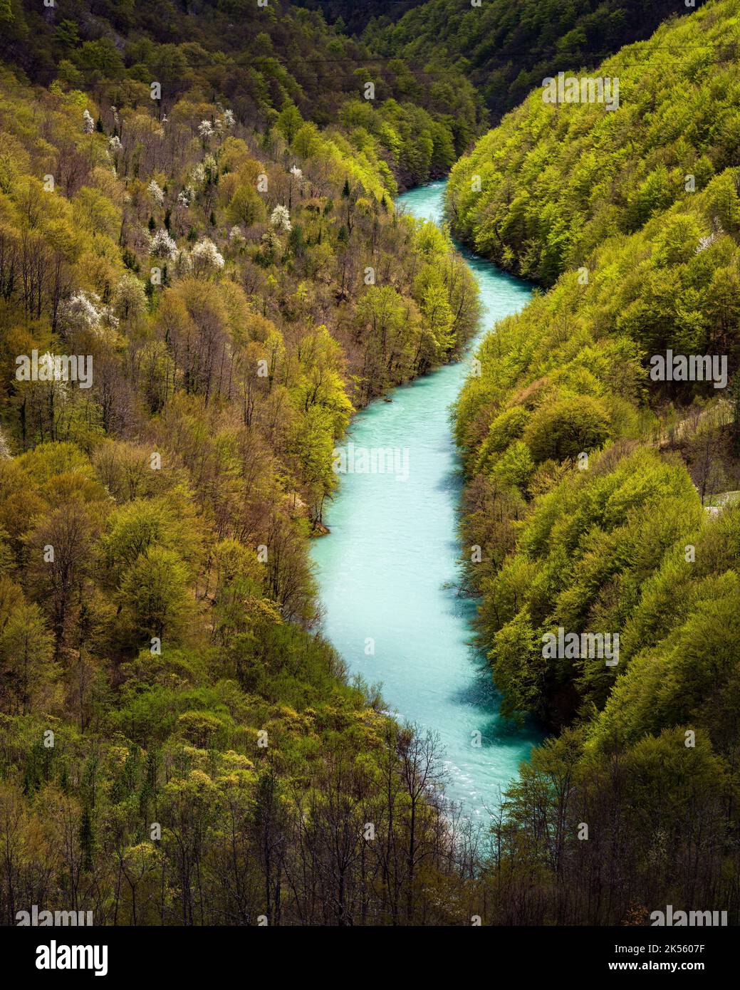 A breathtaking view of Tara River Canyon in Montenegro Stock Photo - Alamy