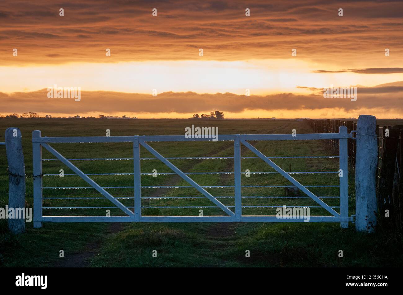 Field gateway in countryside, Buenos Aires province, Patagonia ...