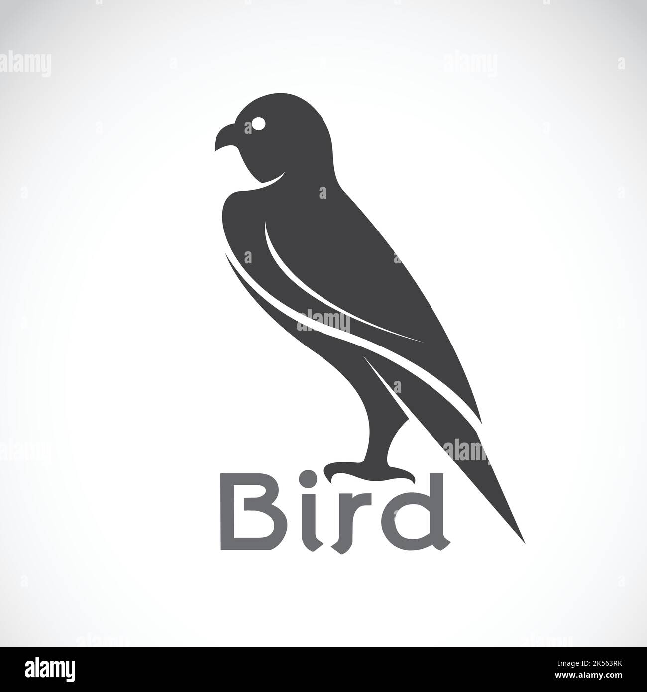 Vector image of an bird design on white background, Bird logo, Eagle ...
