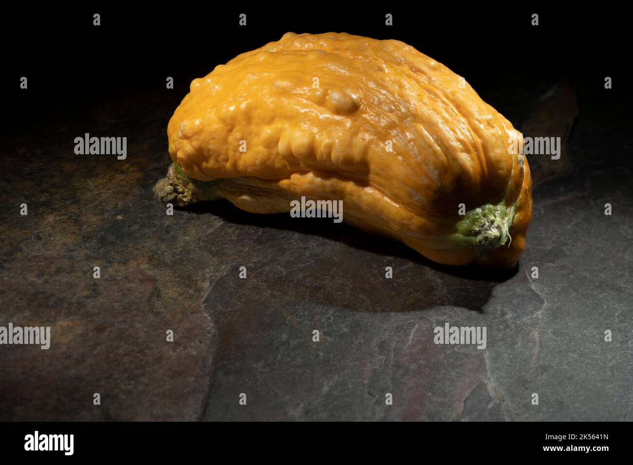Plump little yellow squash on a tan stone surface with copy space Stock ...