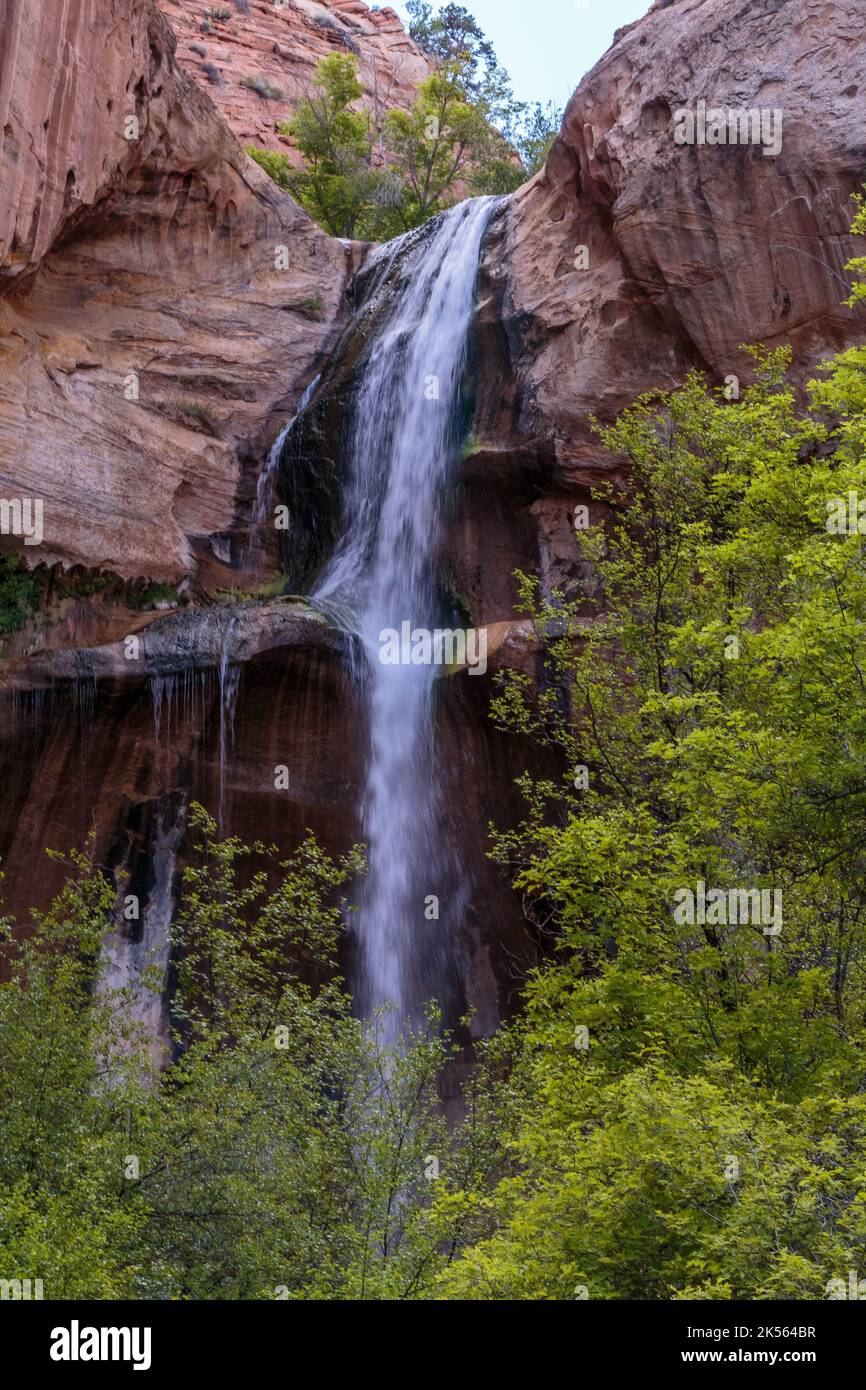A vertical shot of the Calf Killer Falls in Utah Stock Photo - Alamy