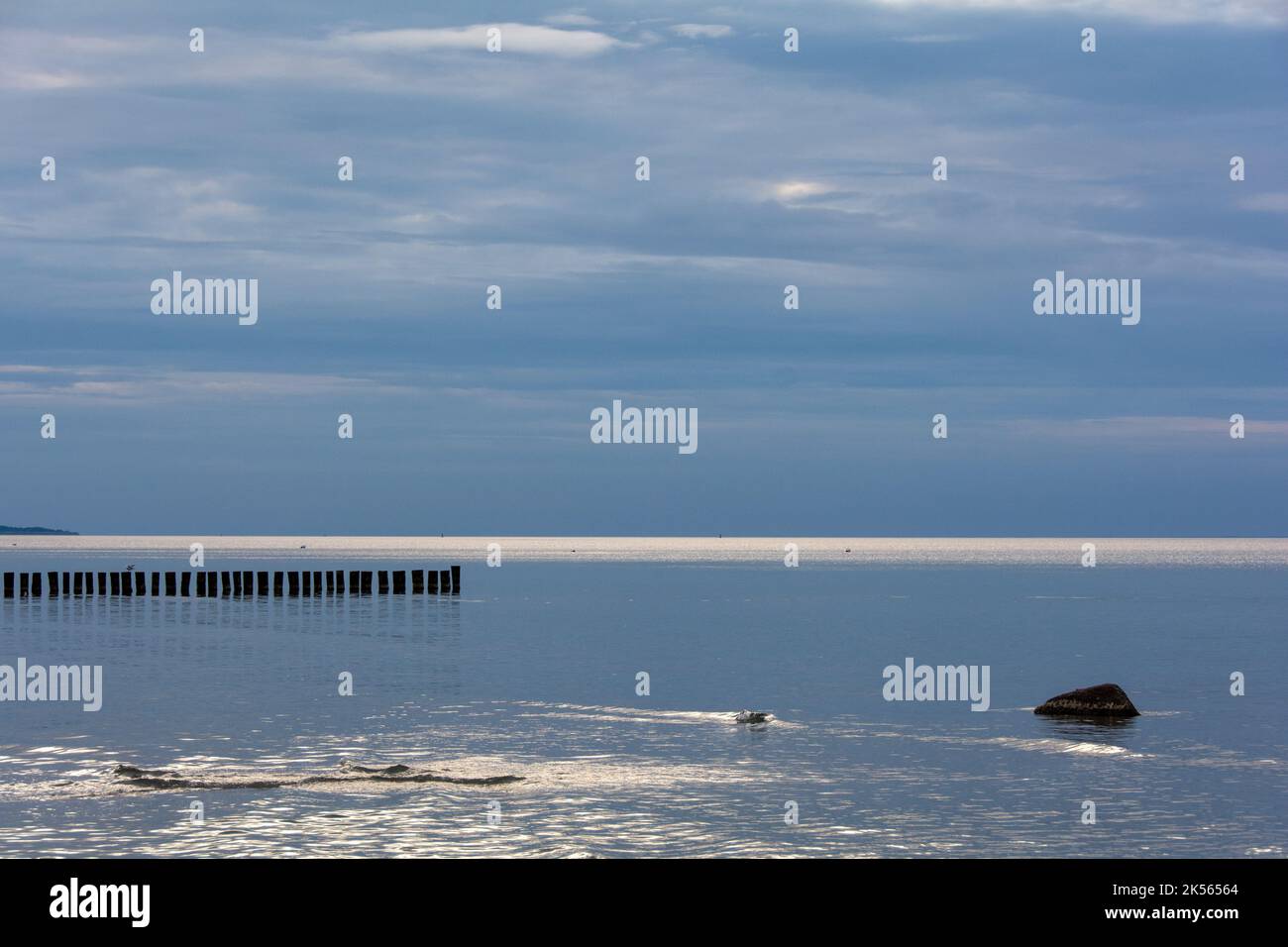 Wooden groynes in the still sea, on the Baltic Sea coast with blue sky ...