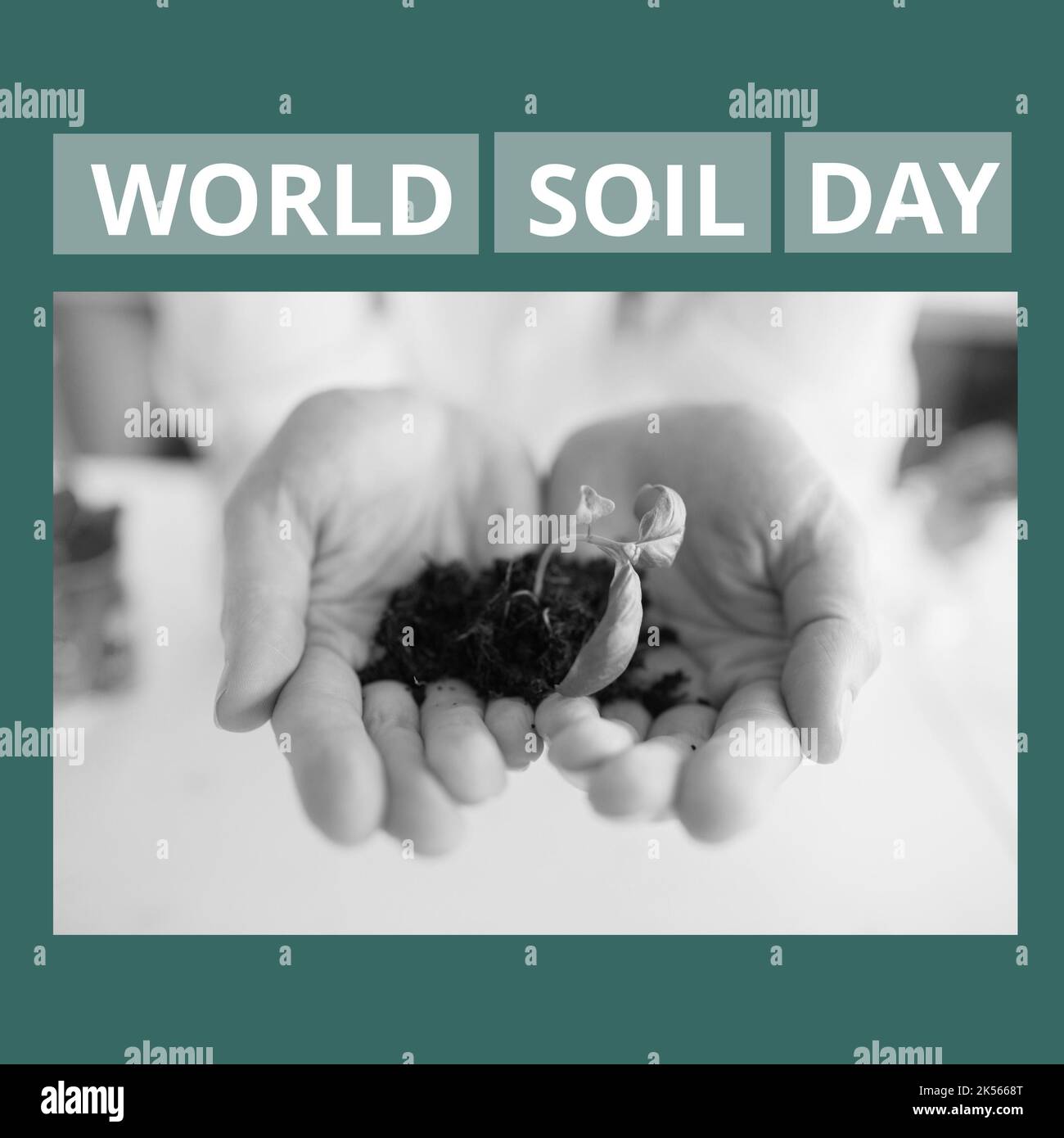 Hands woman holding seedling soil hi-res stock photography and images ...