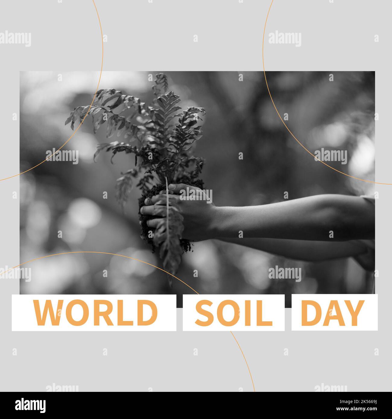 Square image of world soil day and hands of african american kid ...