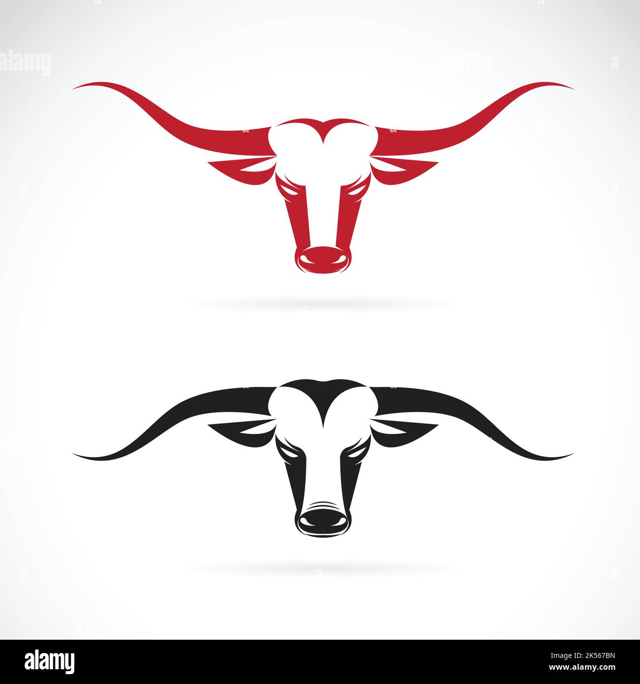 Vector image of bull head on white background. Vector. Easy editable ...