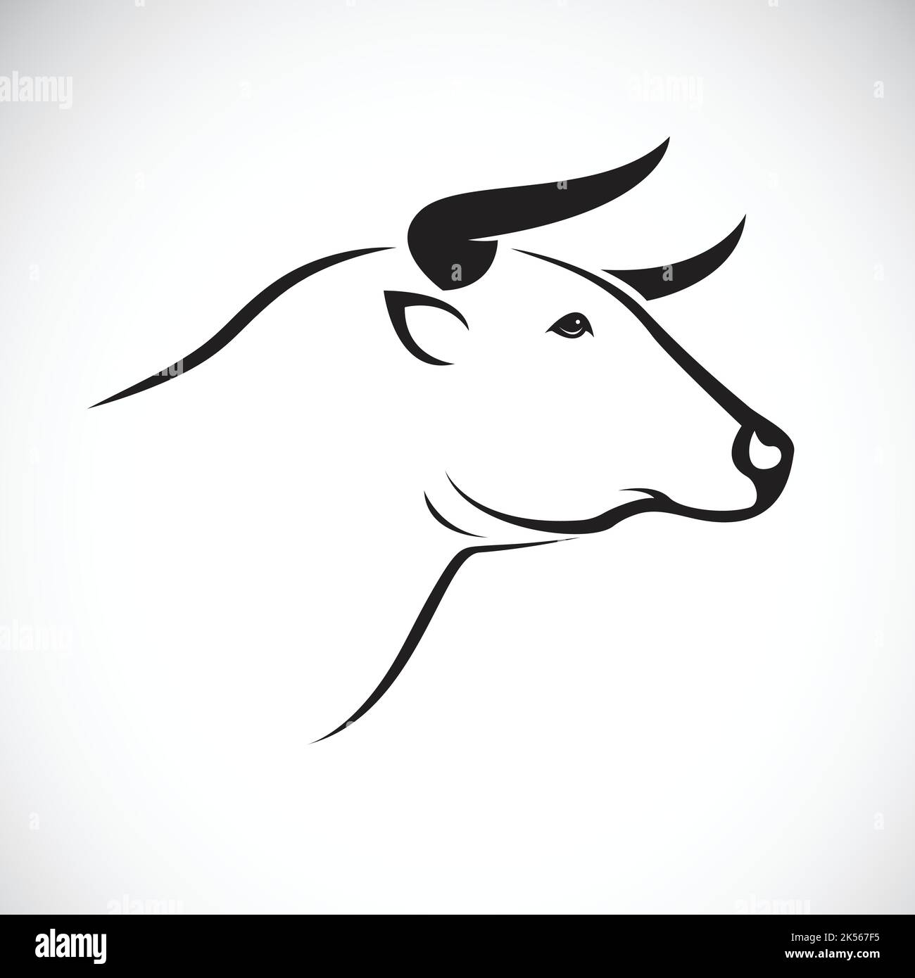Vector of bull head design on white background, Animal. Vector. Easy ...
