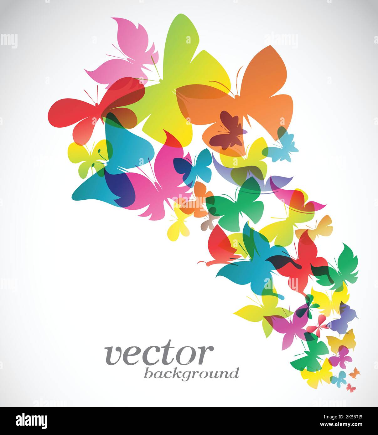 Butterfly design on white background - Vector Illustration. Vector ...