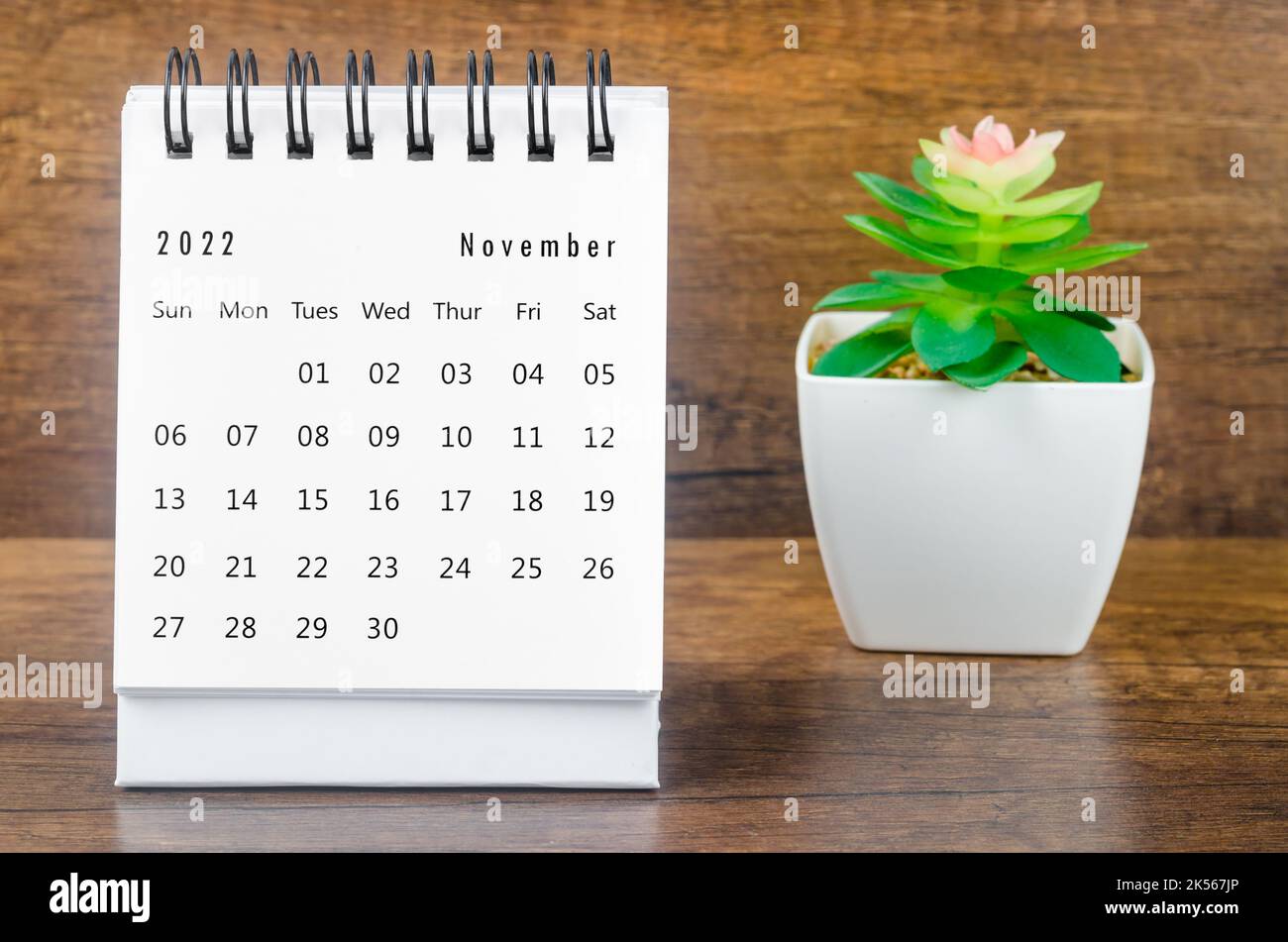 November 2022 Monthly desk calendar for 2022 year with plant pot Stock ...