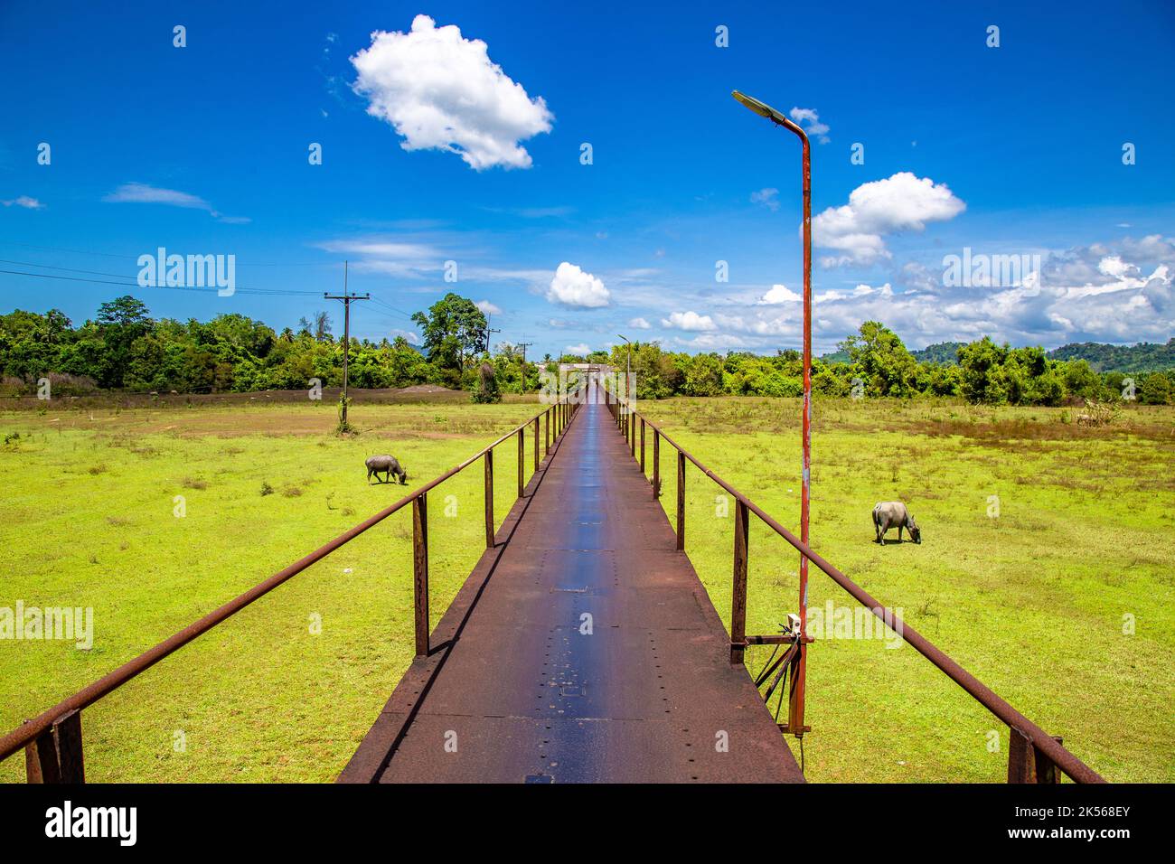 Kanon design hi-res stock photography and images - Alamy