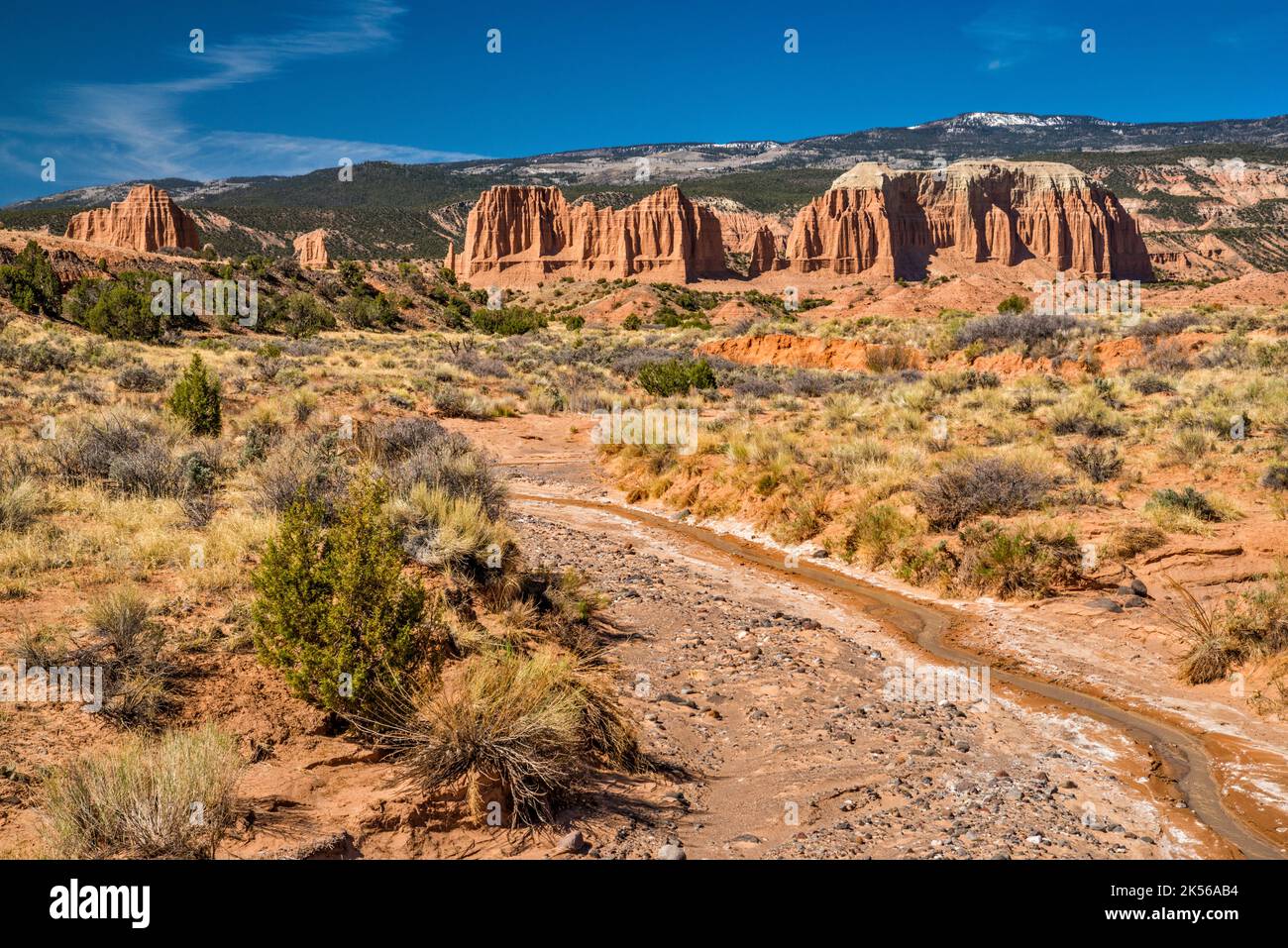 Sandstone fluted cliffs, Middle Desert Wash, Upper Cathedral Valley ...