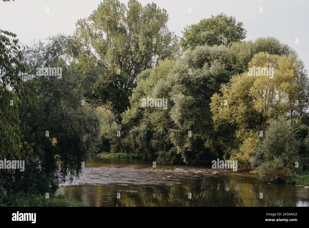 River landscape with sand bank appearing on the shore at low water ...