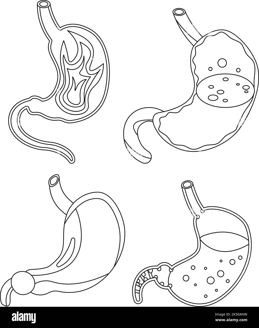 Stomach icons set. Isometric set of stomach vector icons outline ...