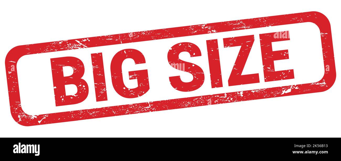 BIG SIZE text written on red rectangle stamp sign Stock Photo - Alamy