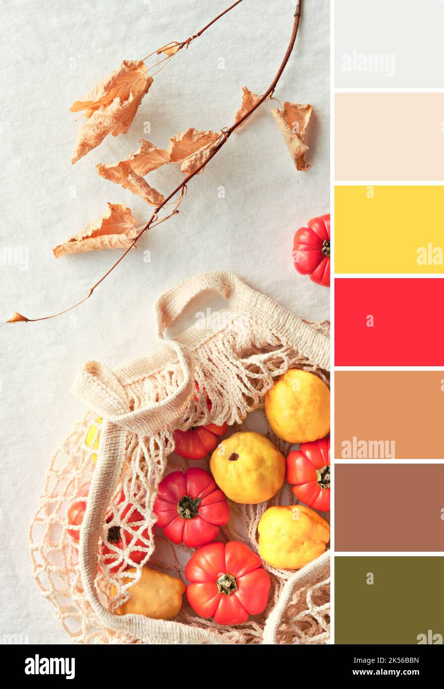 Seasonal fruit chart hi-res stock photography and images - Alamy