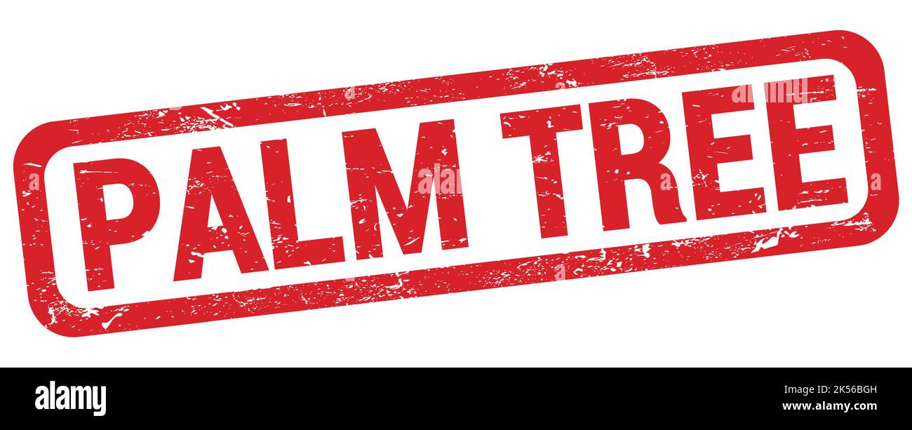 PALM TREE text written on red rectangle stamp sign Stock Photo - Alamy