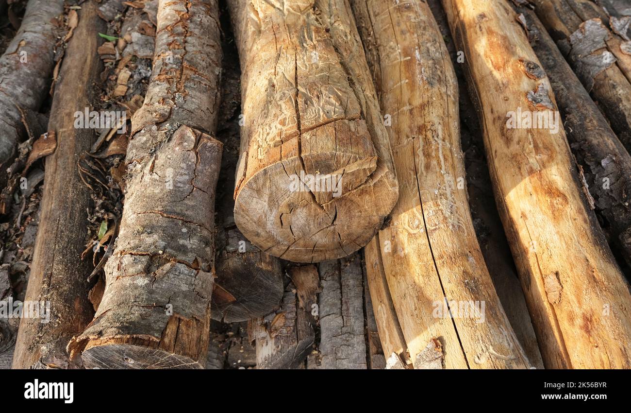 Stacked woods in the woodshed Stock Photo - Alamy