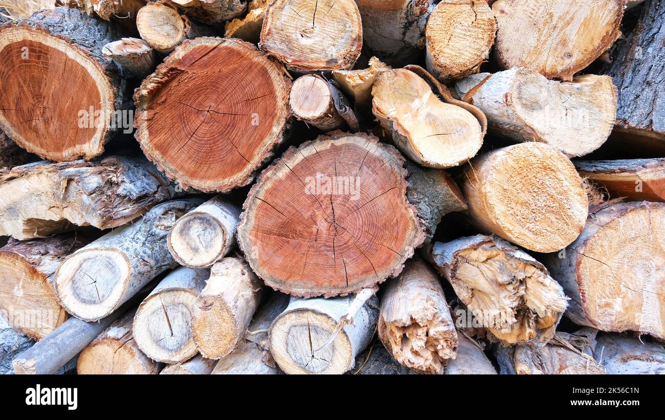 Stacked woods in the woodshed Stock Photo - Alamy