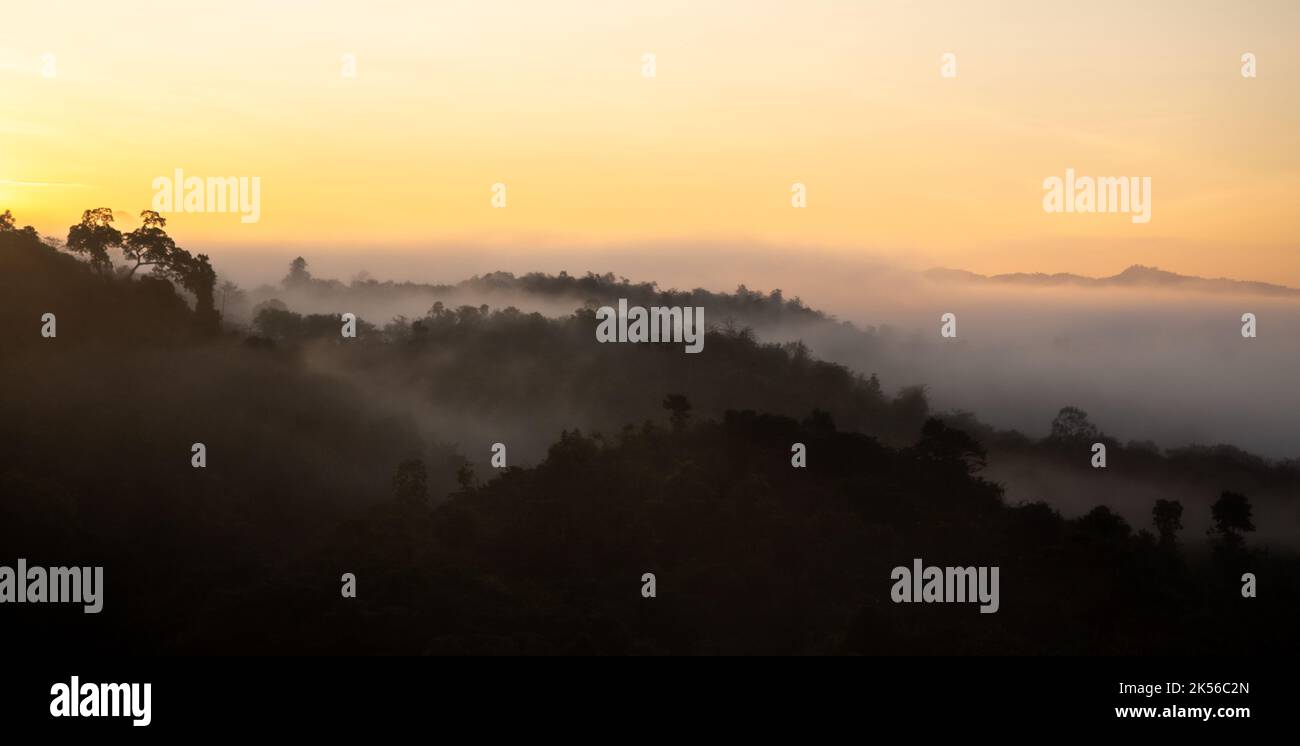 Sunrise sea of fog above Khao Sok national park, Surat Thani, Thailand ...