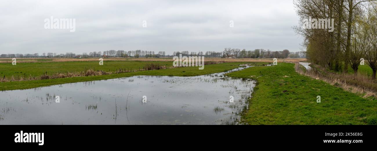 Panoramic view over the polder nature landscape, Damme, Flanders ...