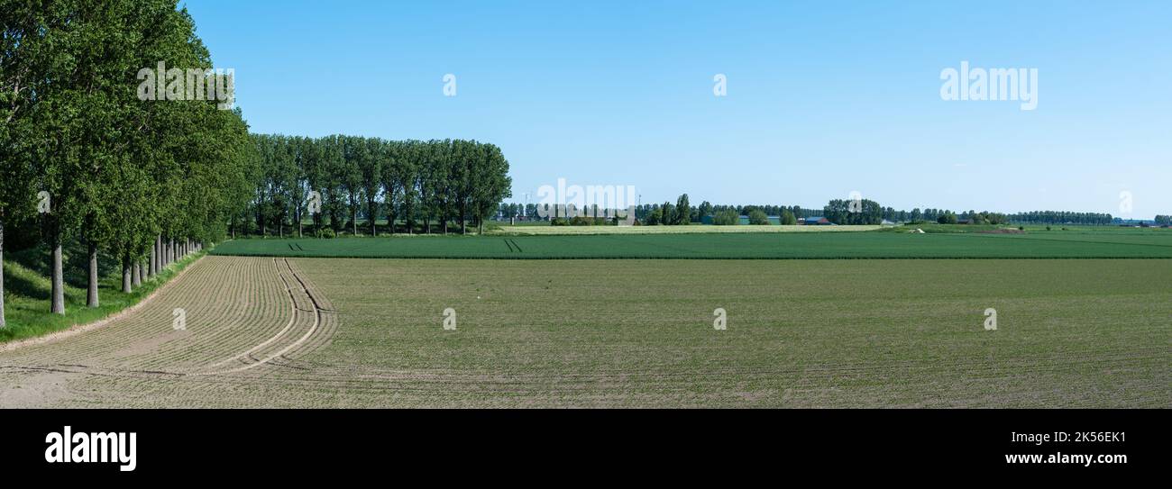 Extra large panoramic view over the agriculture fields at the nature ...