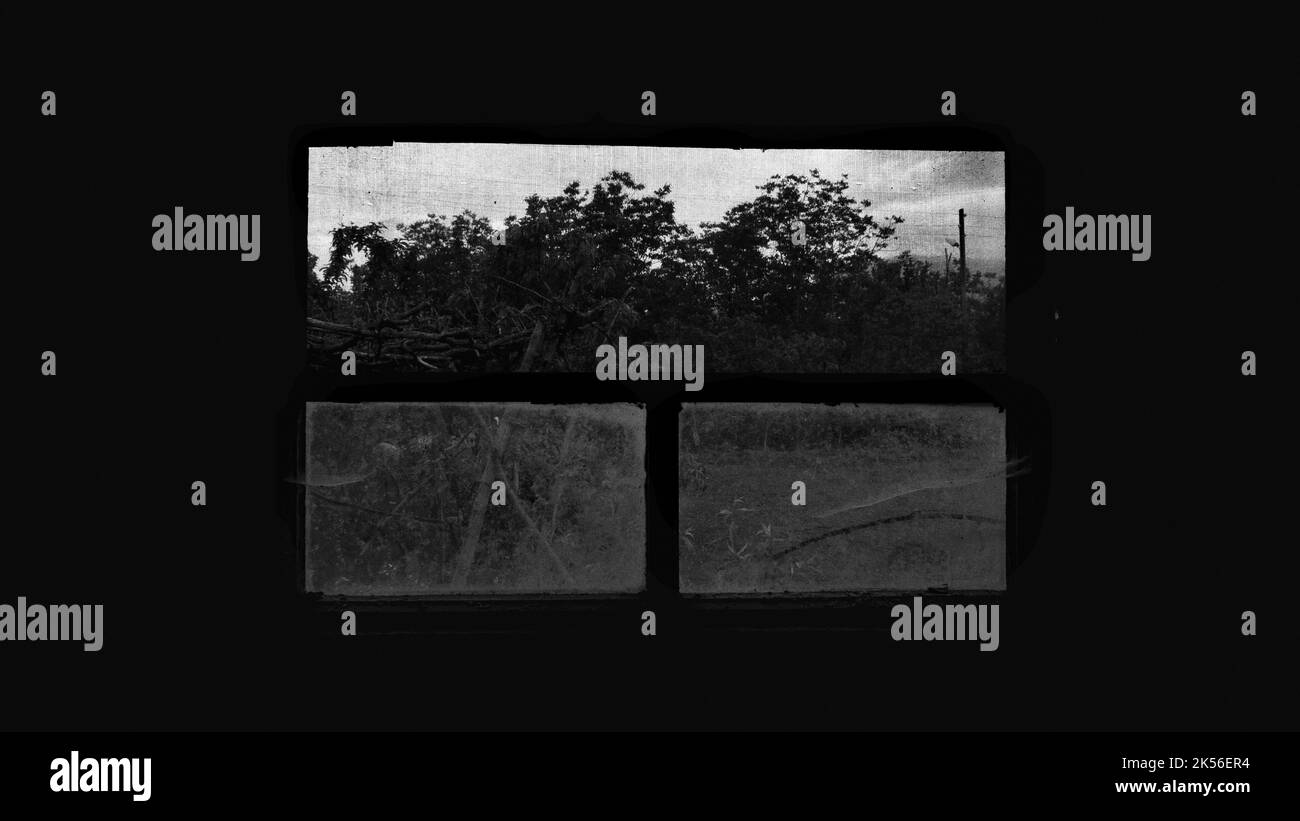 View garden window Black and White Stock Photos & Images - Alamy