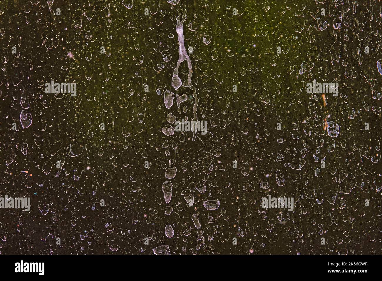 Water drops fall out of the sky in the Akagera National Park, Rwanda ...