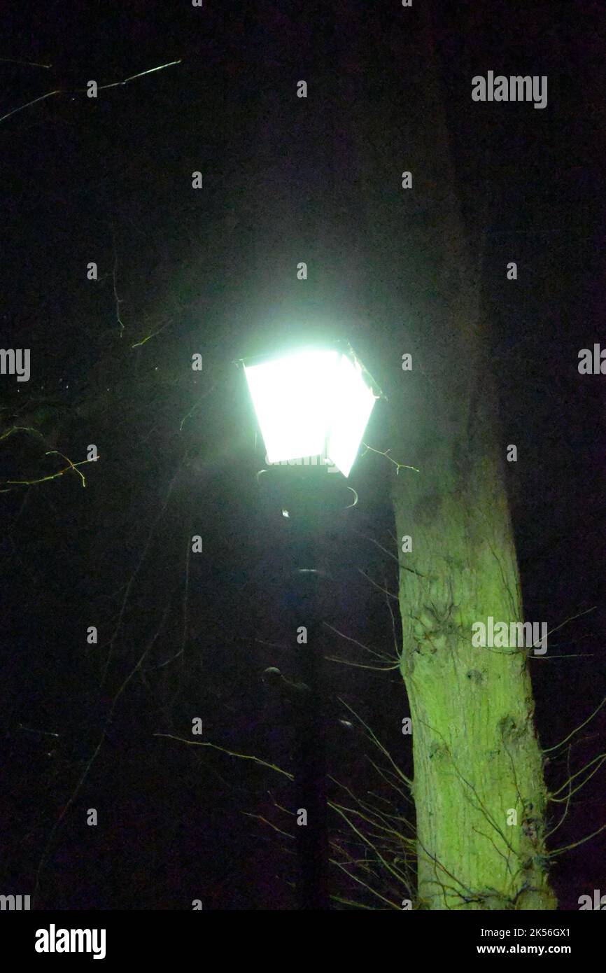 bury st edmunds night time streets, suffolk Stock Photo - Alamy
