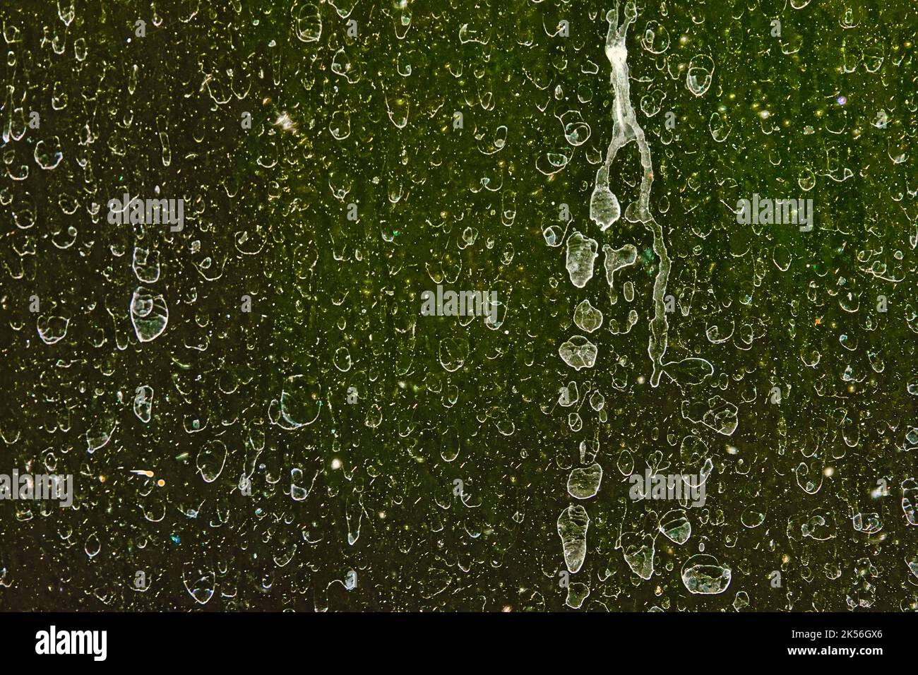 Water drops fall out of the sky in the Akagera National Park, Rwanda ...