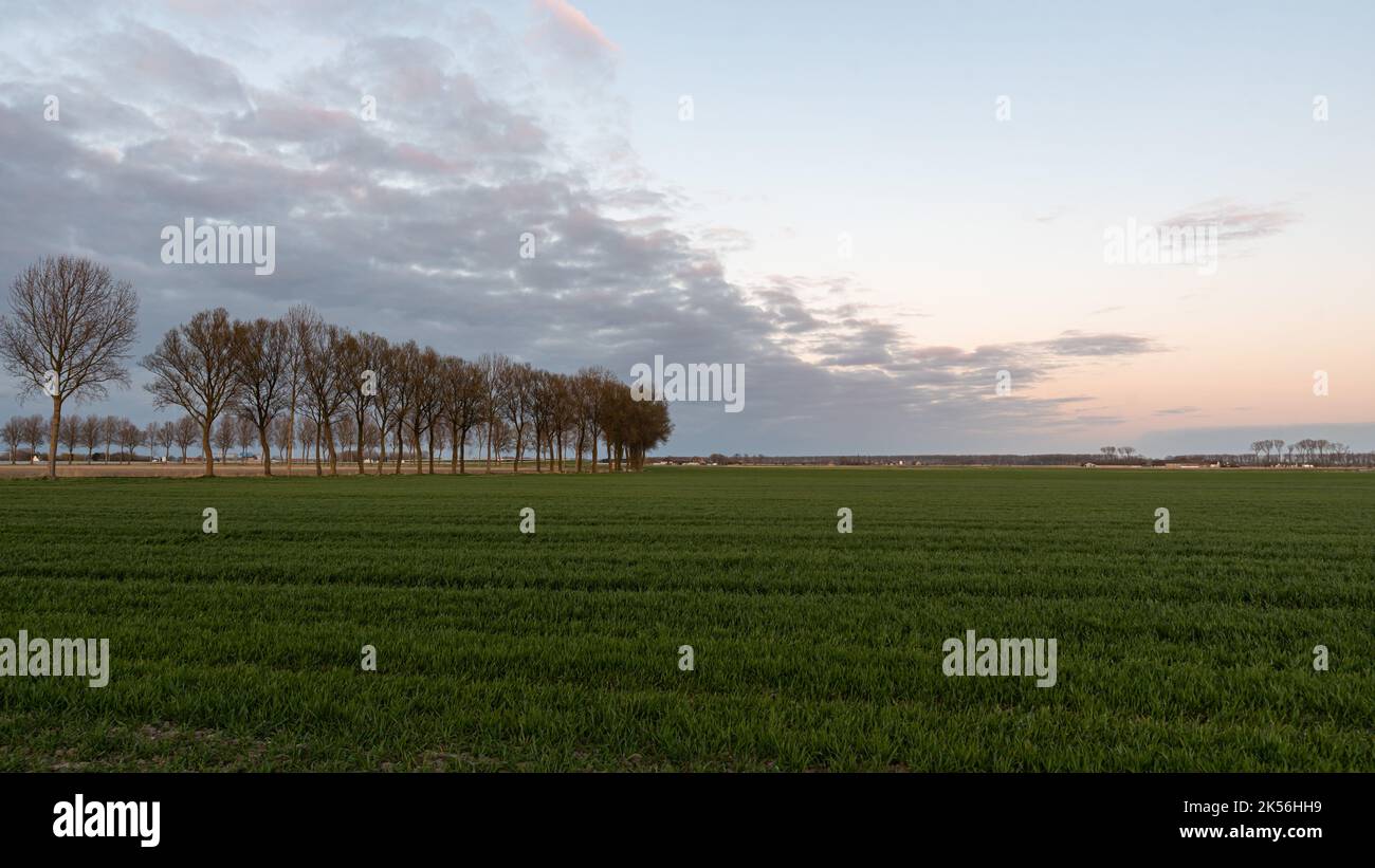 Panoramic view over the Belgian countryside in the agriculture fields ...