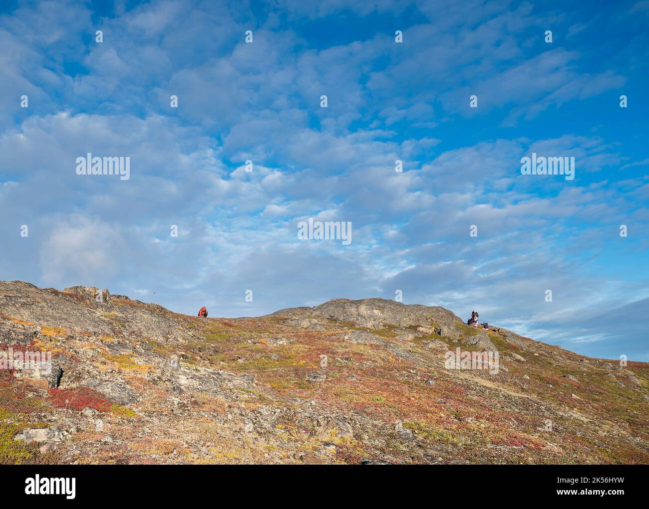 Berry pickers hi-res stock photography and images - Alamy