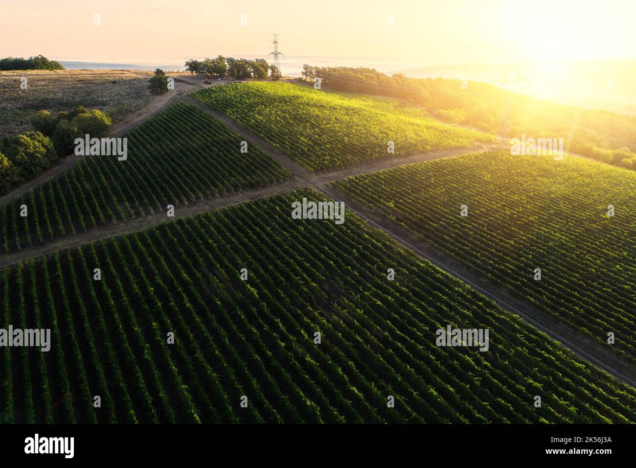 Vineyard agricultural fields in the countryside, beautiful aerial ...