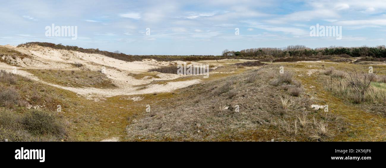 Knokke belgium zwin hi-res stock photography and images - Alamy