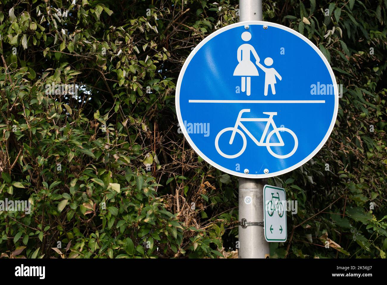 German Sign Sidewalk With Bike Path. Blue Background With Pedestrian ...