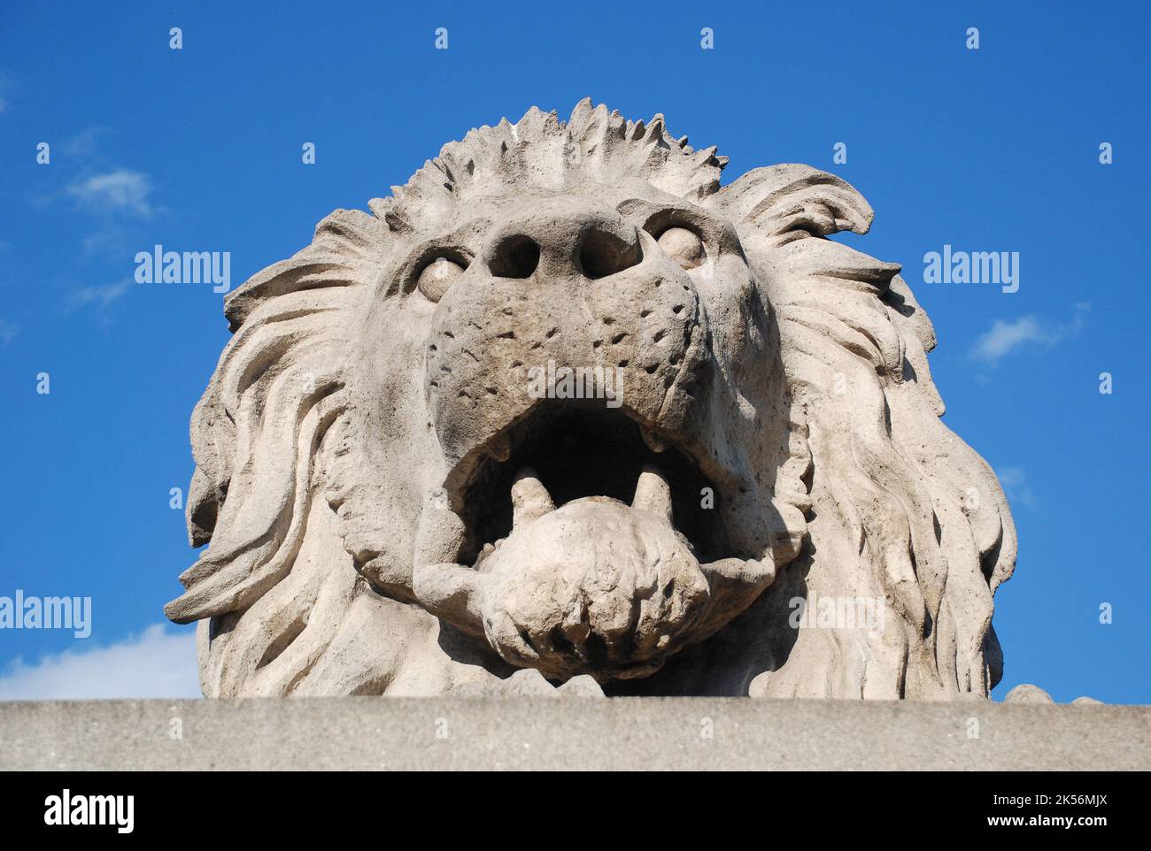 Budapest, Hungary - June 20, 2011: Lion statue in Budapest Stock Photo ...