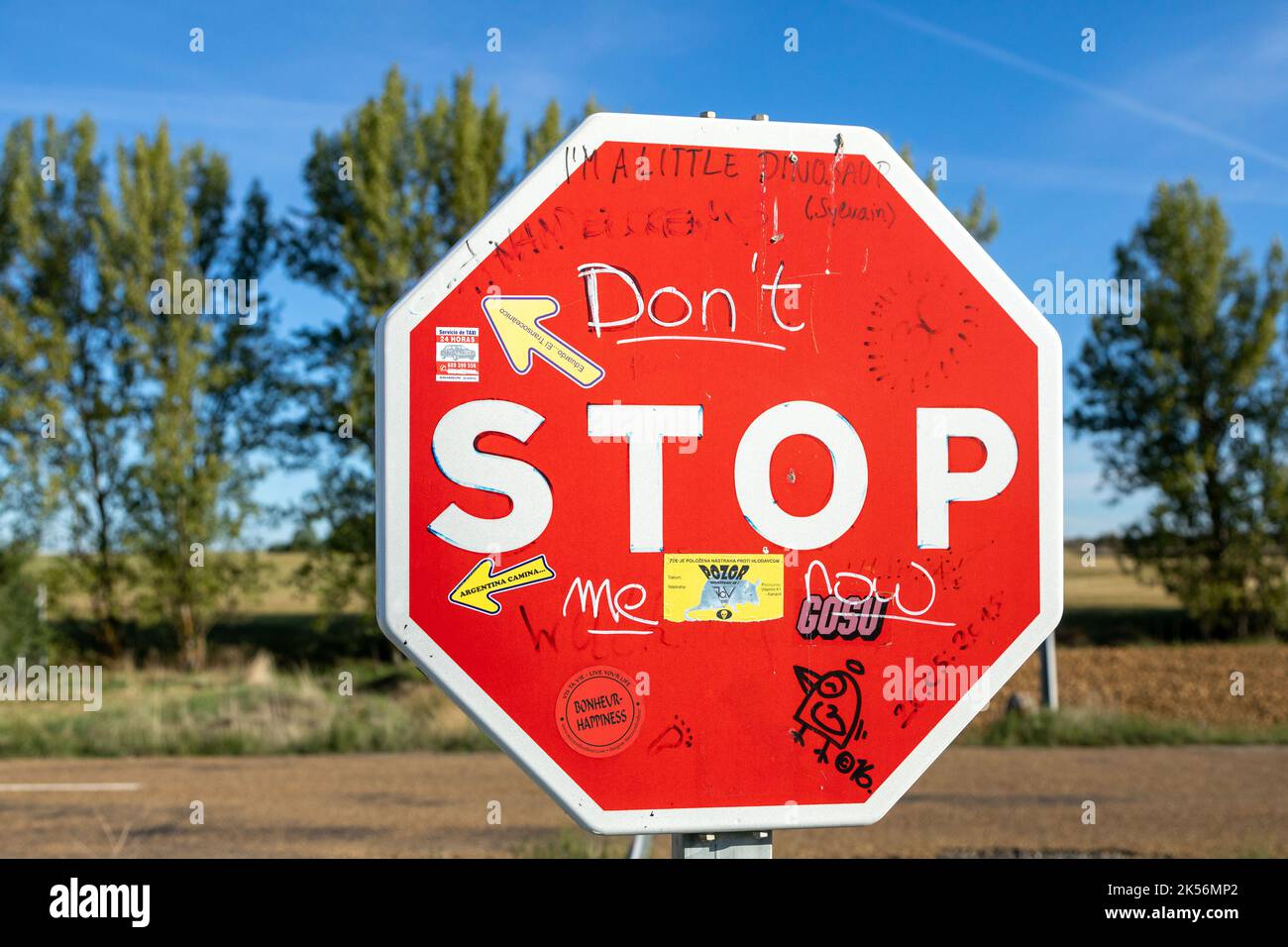 Graffiti-covered stop sign Stock Photo - Alamy