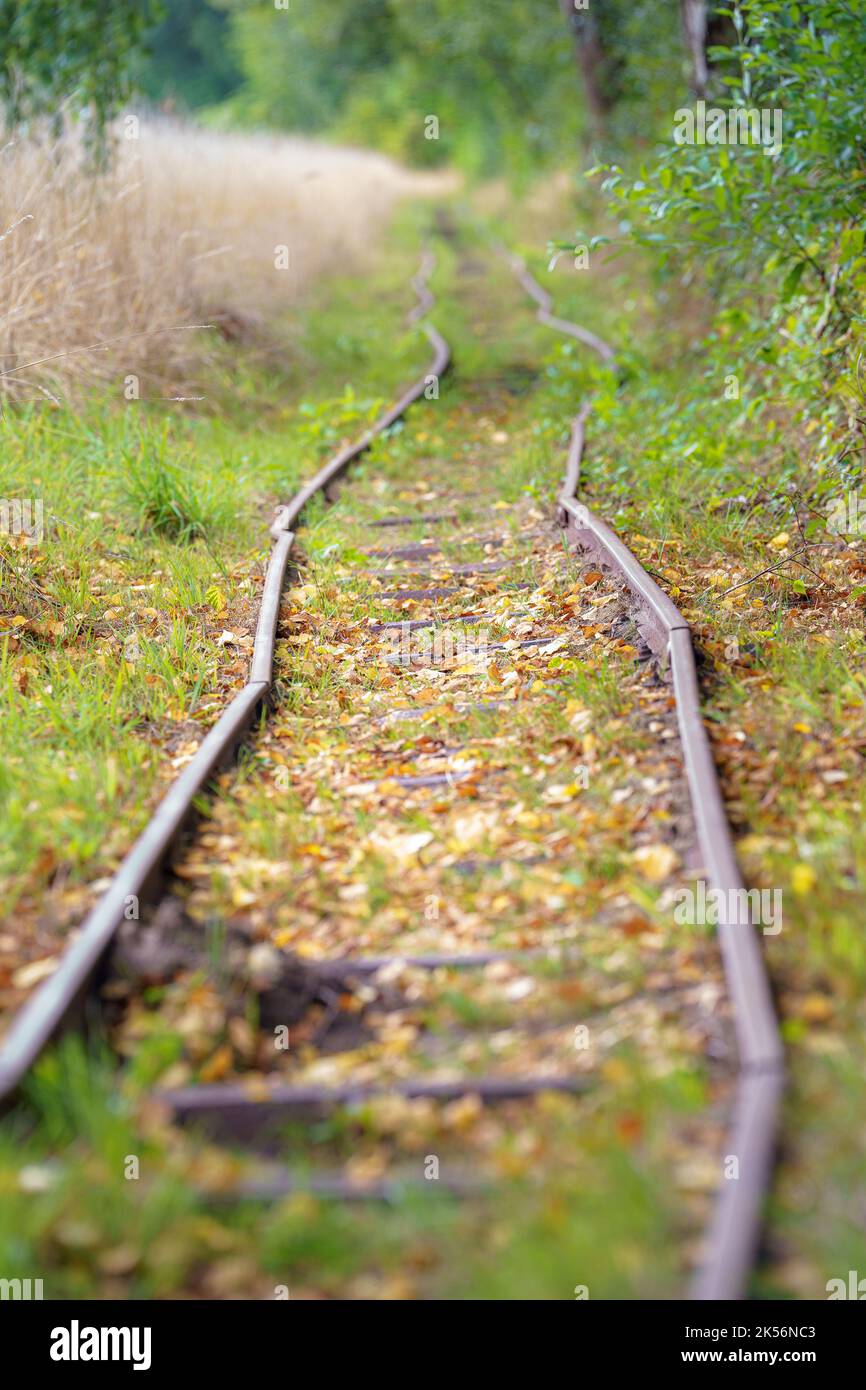 Remains of railway from WWII of the German occupation in Havelte, the ...