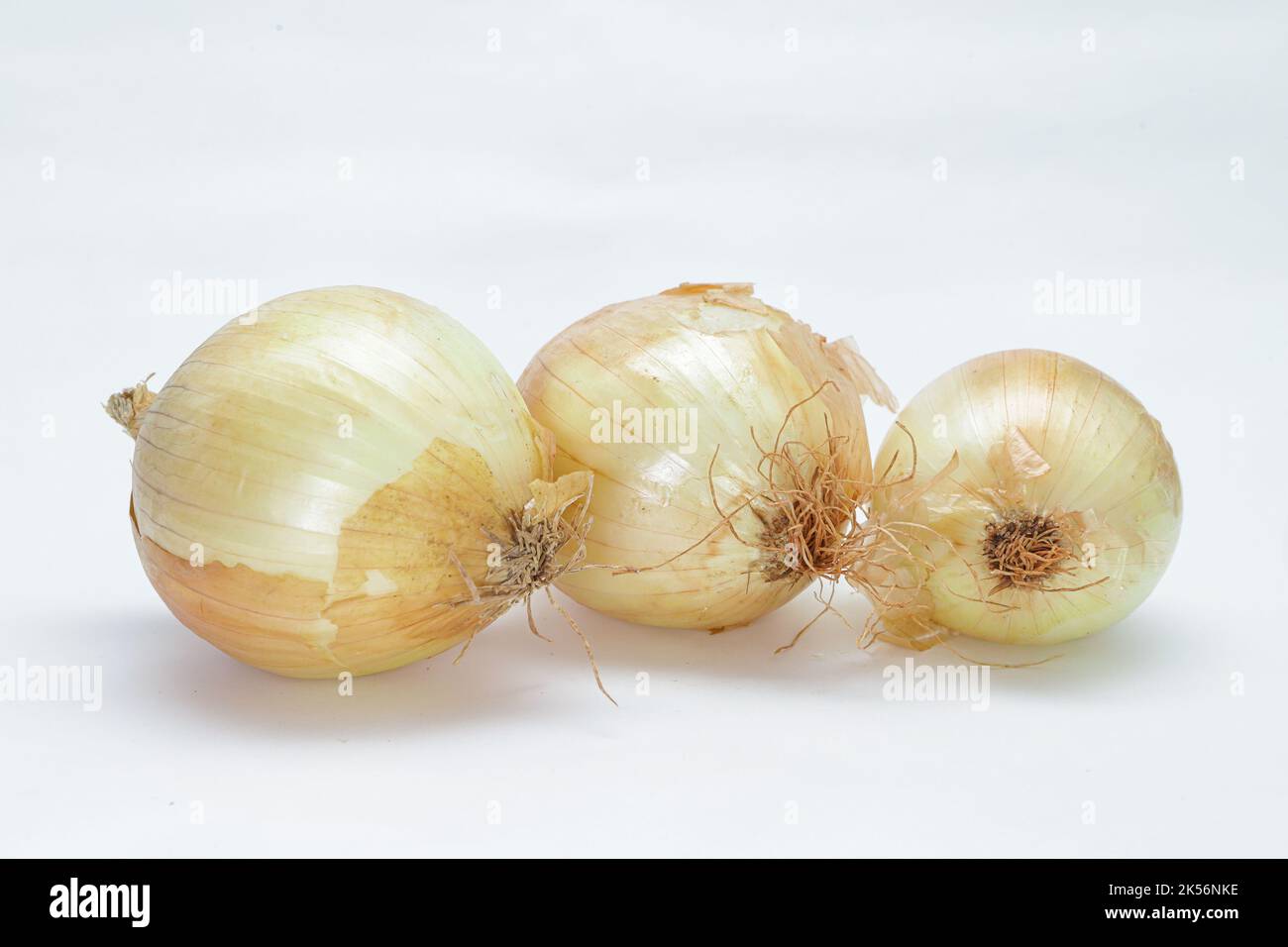 Three onions (Allium cepa) in natura, still with skins, exposed in rows ...