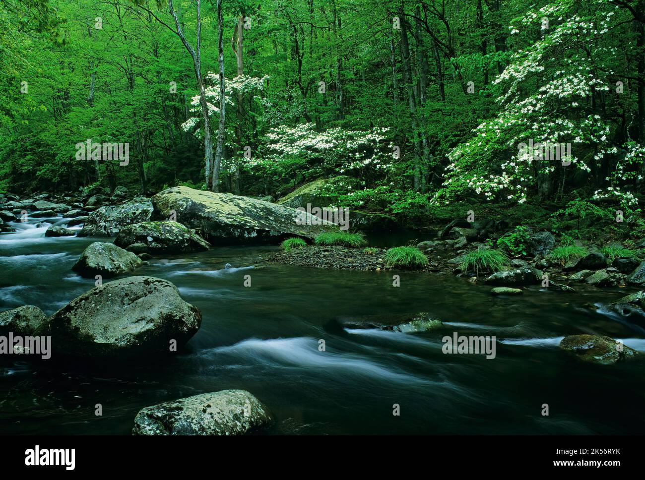 Roaring Fork Mountain Stream Smoky Mountains National Park Tennessee ...