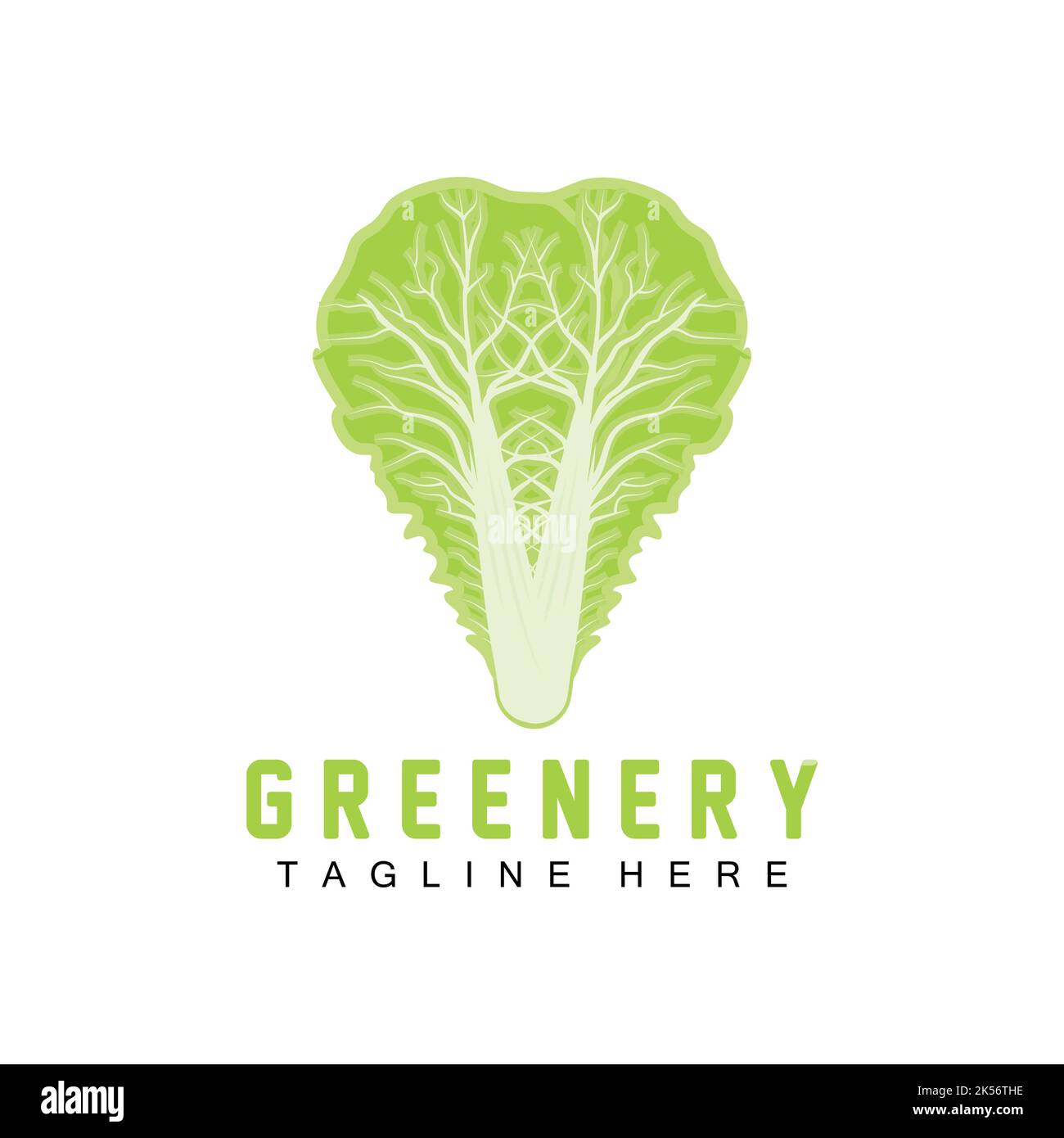 Chinese cabbage kimchi Stock Vector Images - Alamy