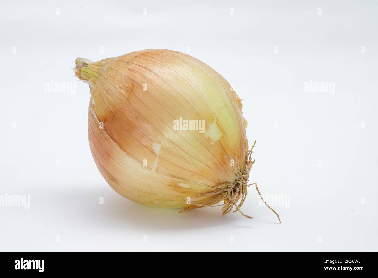 An onion (Allium cepa) in natura, on a white background for clipping ...