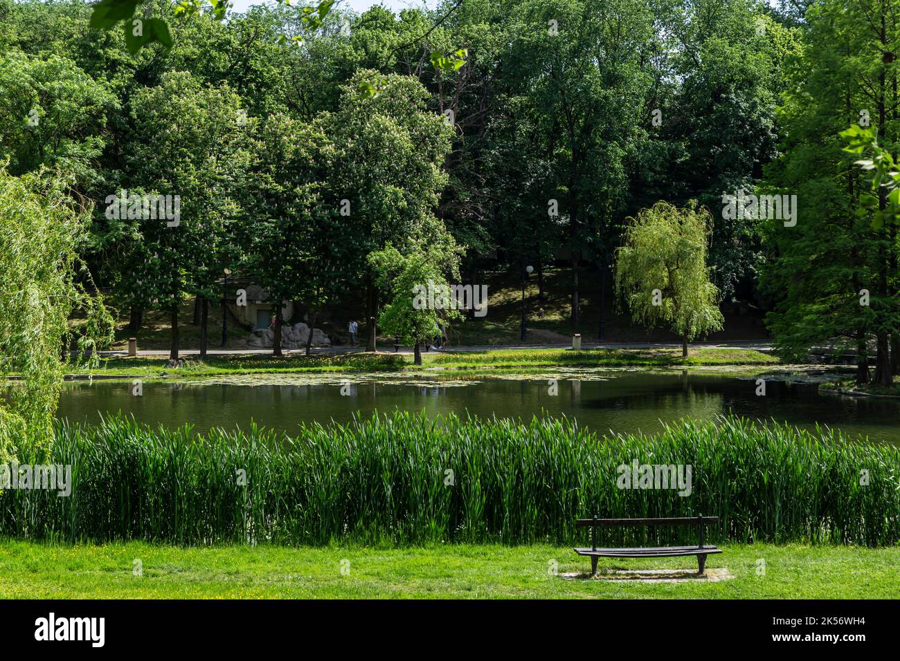Craiova, Dolj County, Romania – May 14, 2022: Images from Romanescu ...
