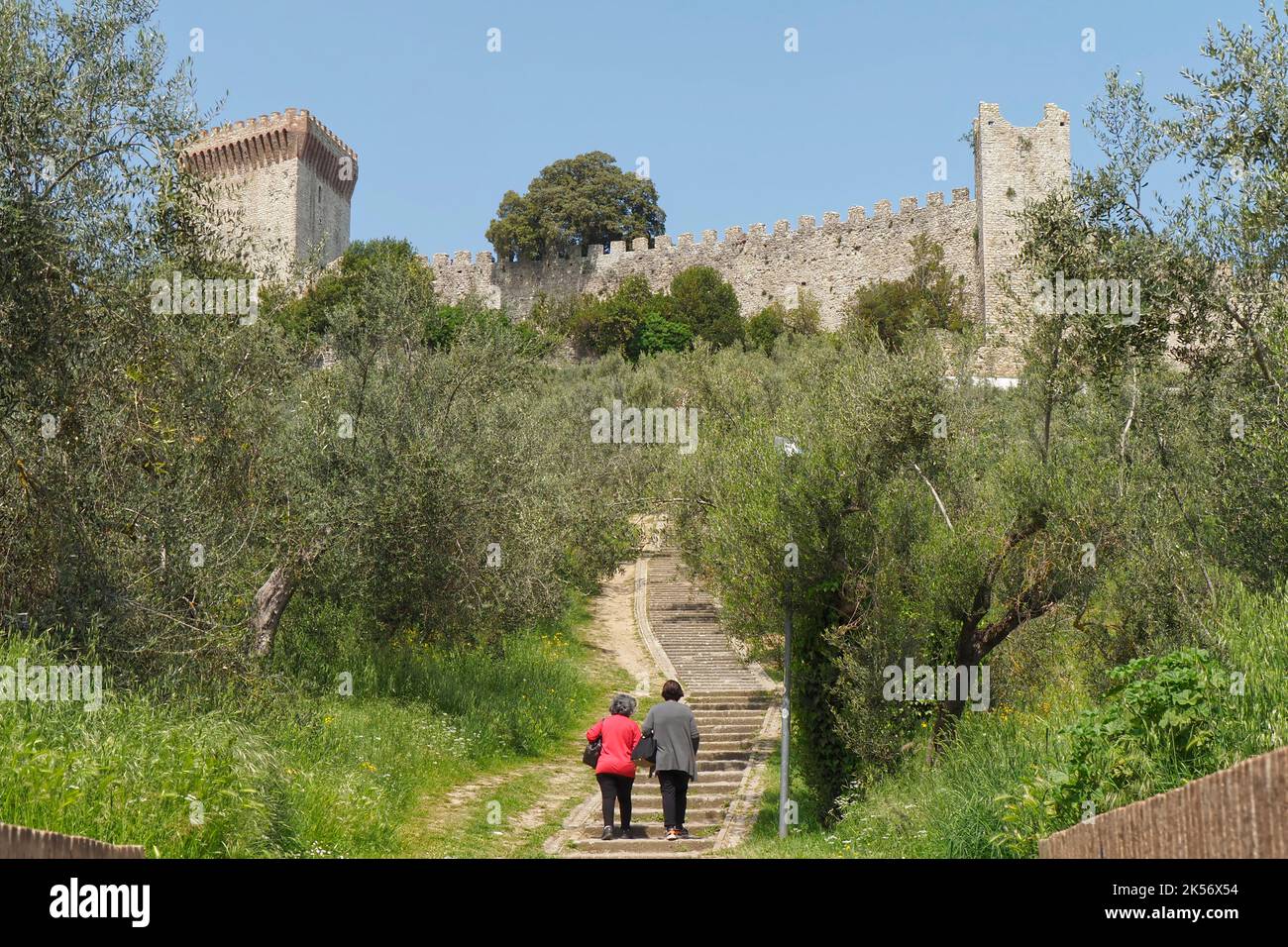 two women walk up the steep steps through the olive groves to Rocca del ...